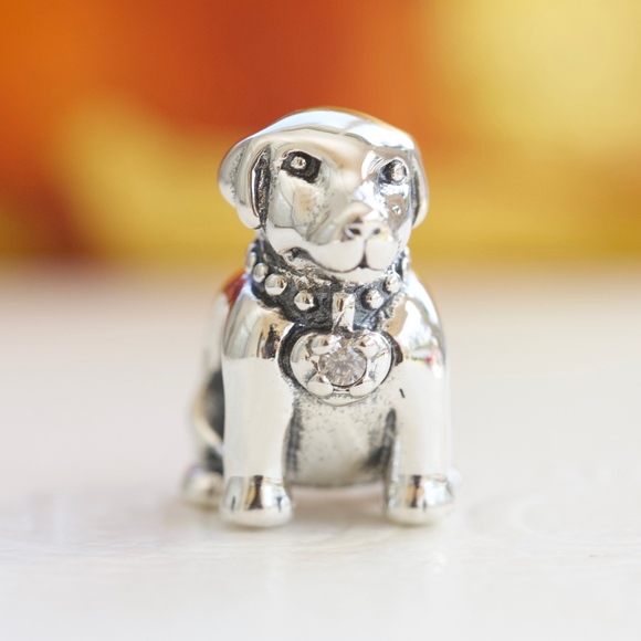 Pandora | Jewelry | Pandora Silver Labrador Dog 79379cz | Poshmark